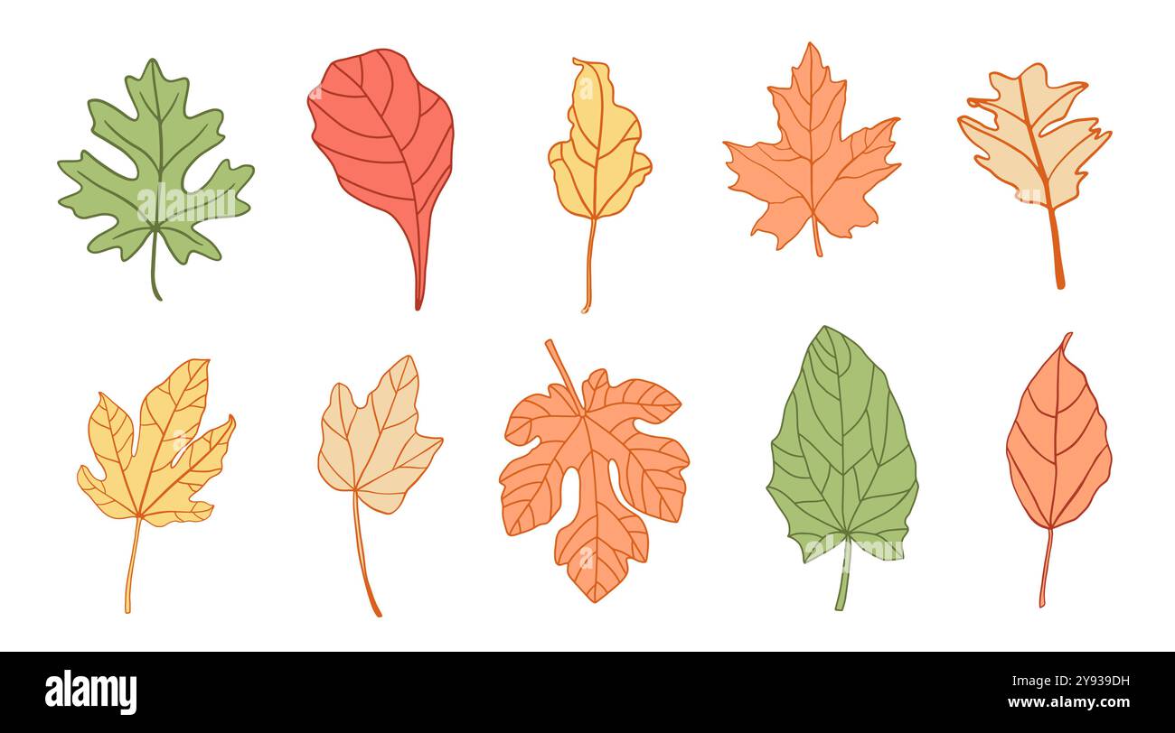 Autumn Leaves Vector Drawing Sketch Set Fall Leaf Stock Vector Image ...