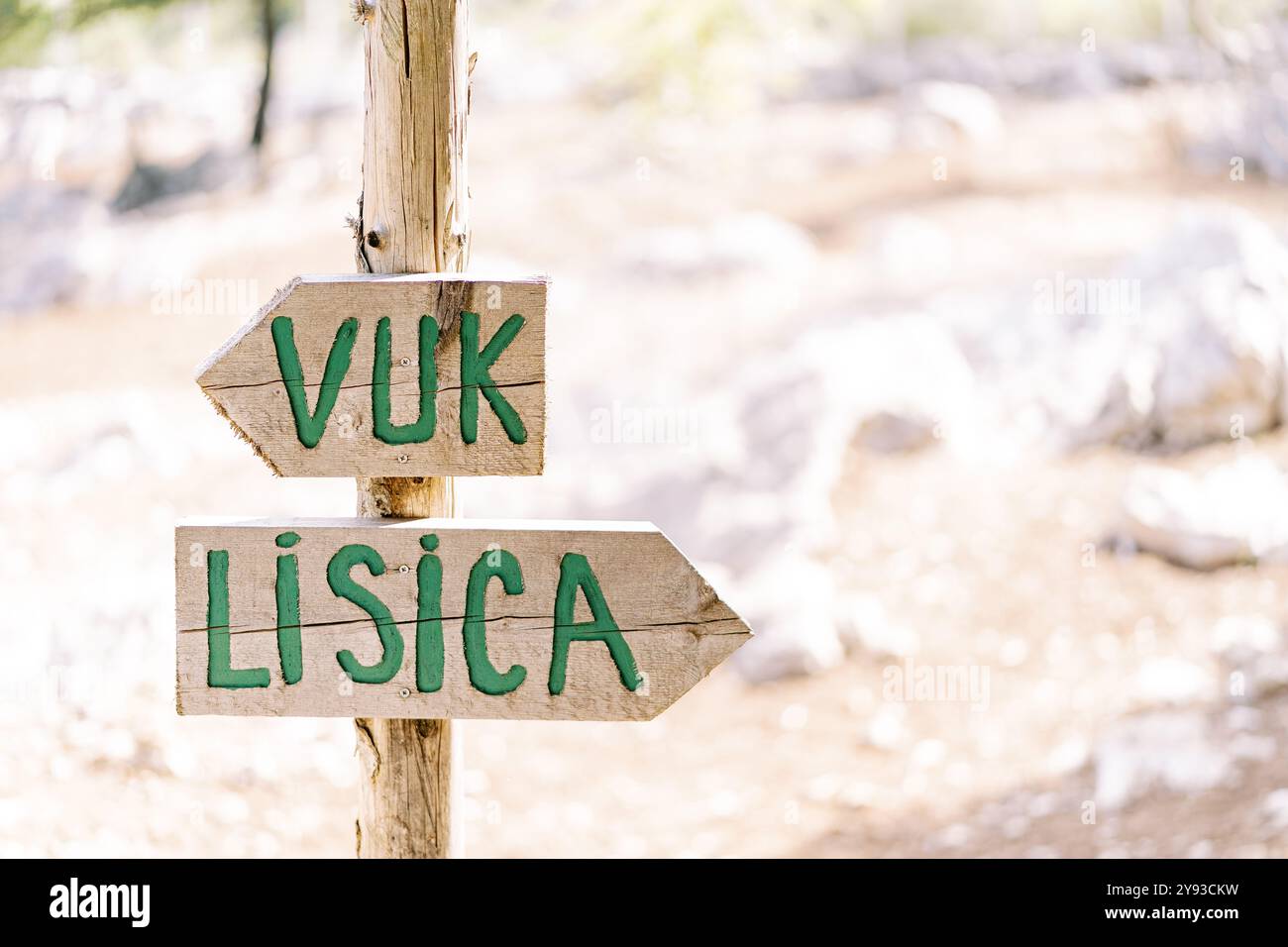 Wooden signs with pointers on a pole in the park. Caption: Vuk, Lisica ...
