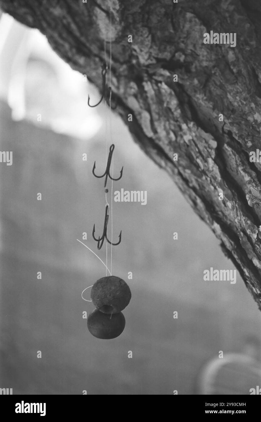 three fishing hooks hanging from a tree with ball float Stock Photo - Alamy