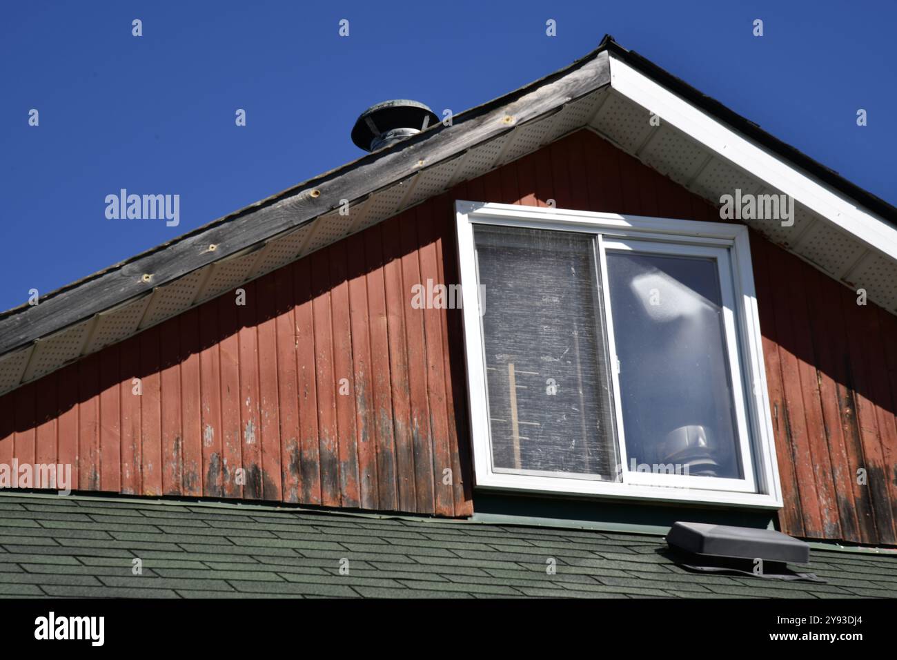 Large cedar stump with grey texture and design in sandy soil Stock ...