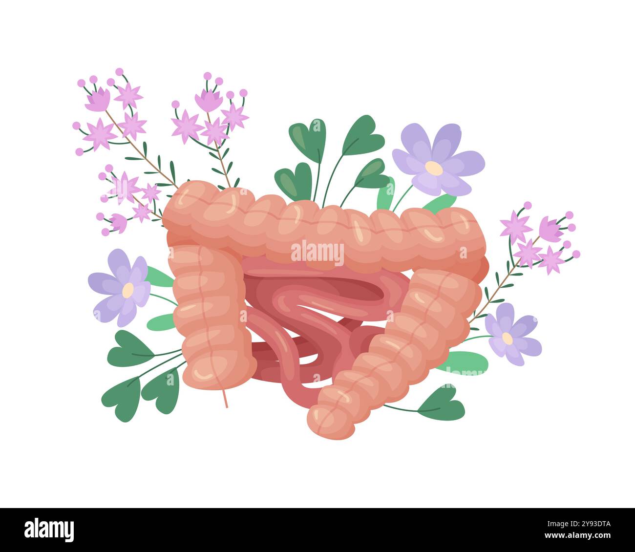 Human large and small intestines in summer flowers and herbs vector ...