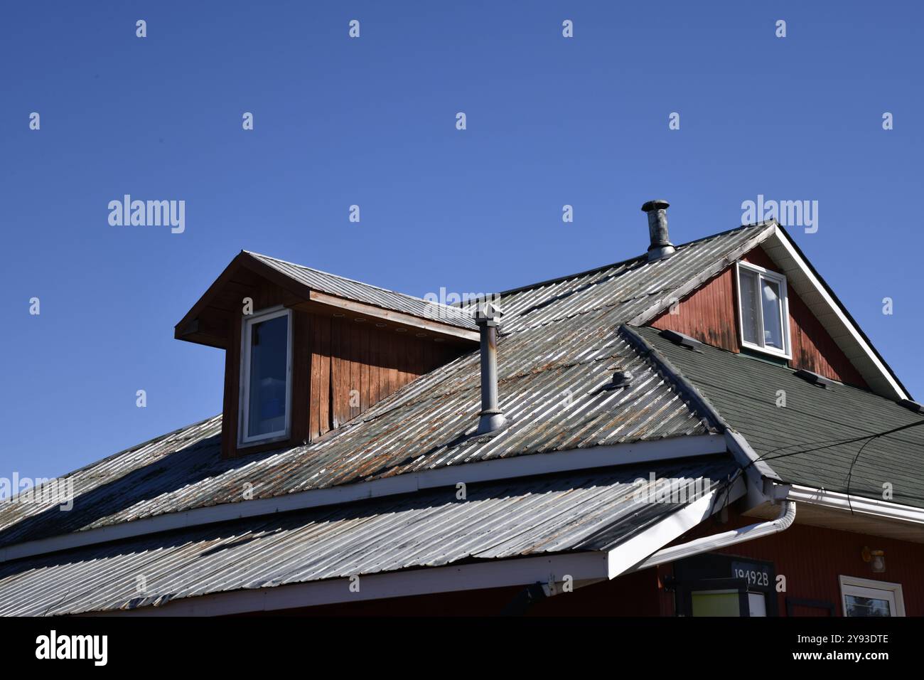 Large cedar stump with grey texture and design in sandy soil Stock ...