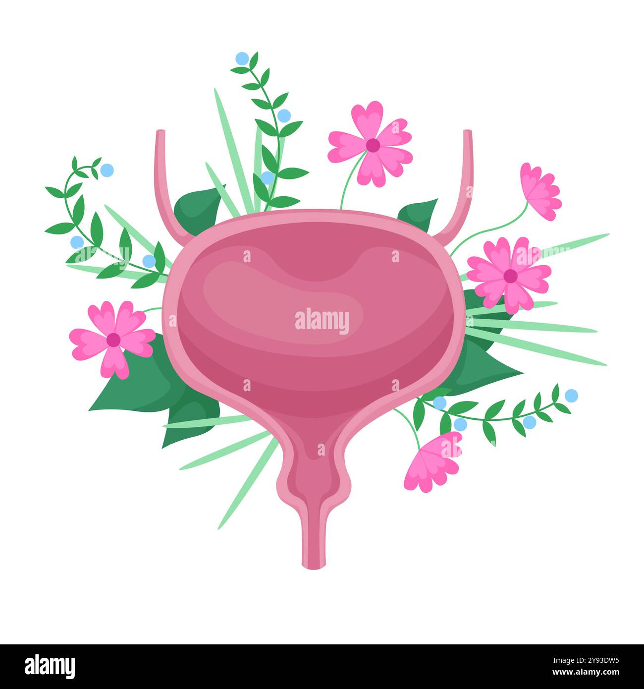 Human bladder in summer pink flowers, care for urinary tract vector illustration Stock Vector ...