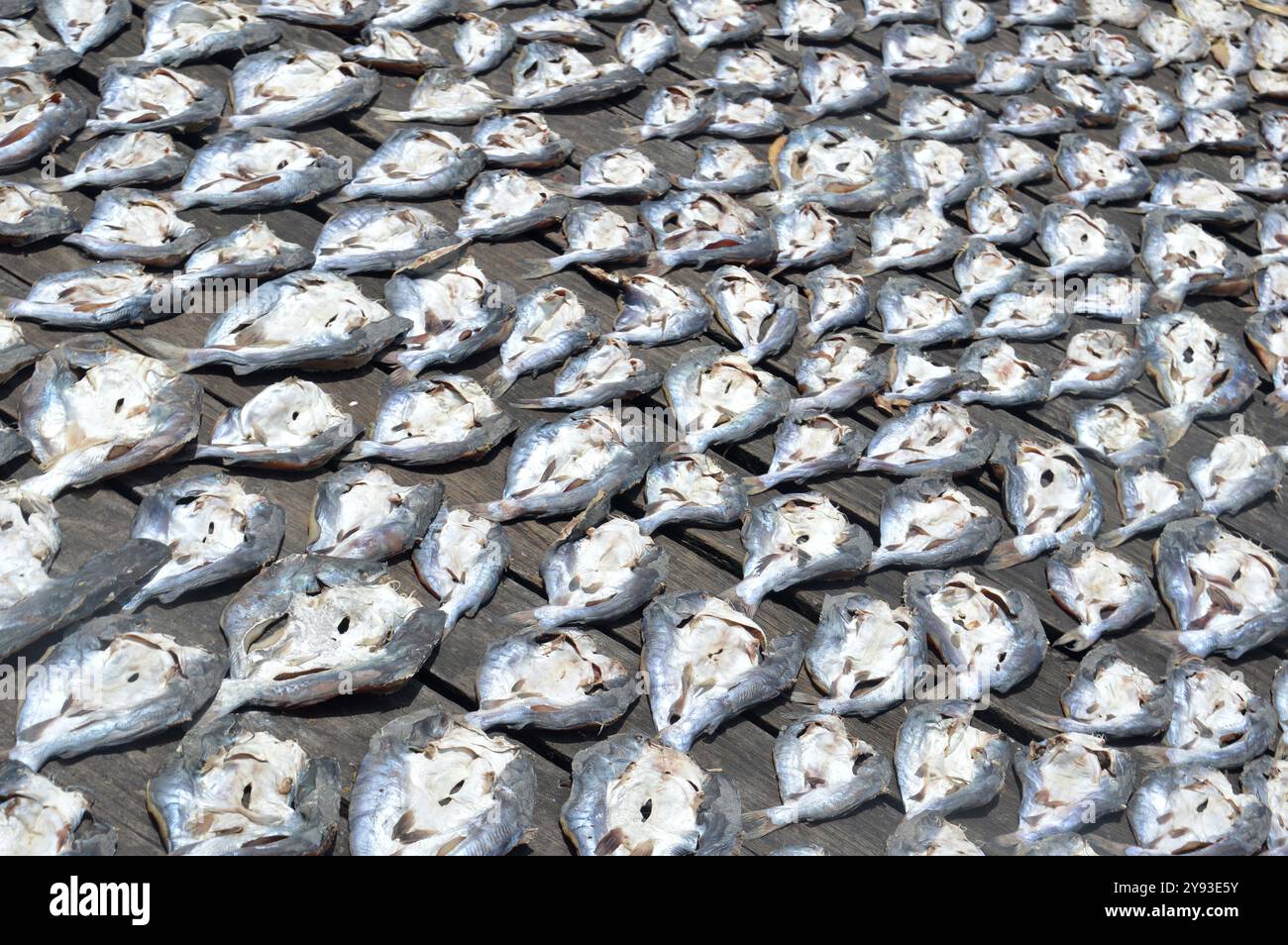 row of dried fish background Stock Photo - Alamy
