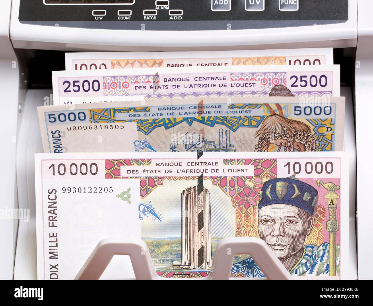 West African CFA money - franc in the counting machine Stock Photo - Alamy