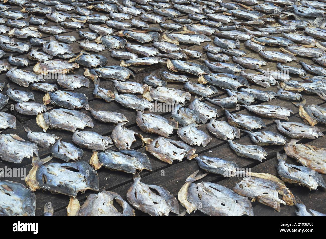 row of dried fish background Stock Photo - Alamy