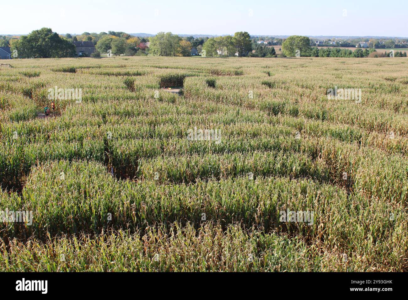 World's Largest Corn Maze at Richardson Adventure Farm in Spring Grove ...