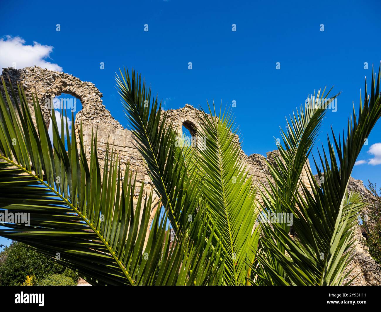 The Infirmary Ruins, Cathedral Grounds, Canterbury Cathedral ...
