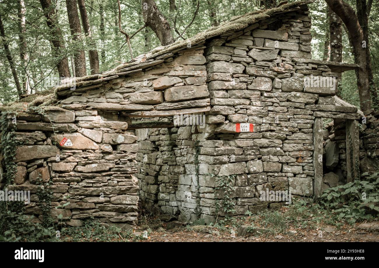 What remains of a handcrafted construction in the woods. Traditional ...
