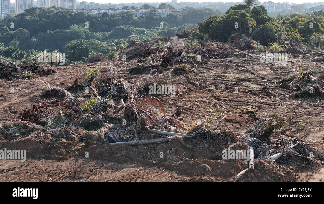 salvador, bahia, brazil - august 22, 2024: Environmental reserve ...
