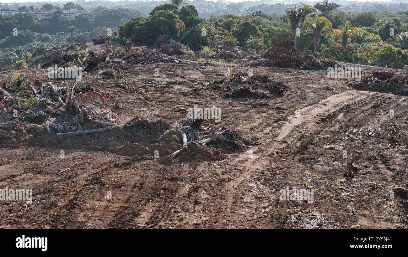 salvador, bahia, brazil - august 22, 2024: Environmental reserve ...