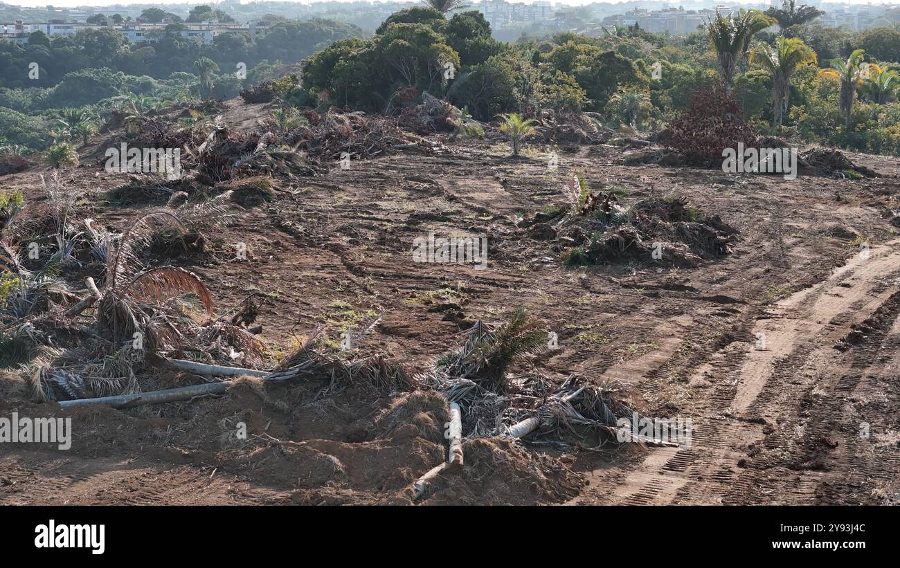 salvador, bahia, brazil - august 22, 2024: Environmental reserve ...