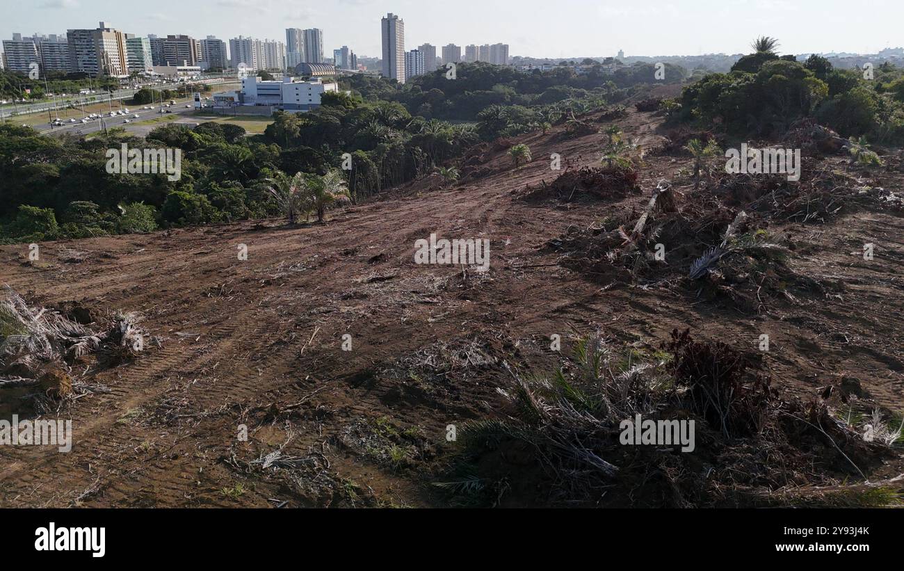 salvador, bahia, brazil - august 22, 2024: Environmental reserve ...