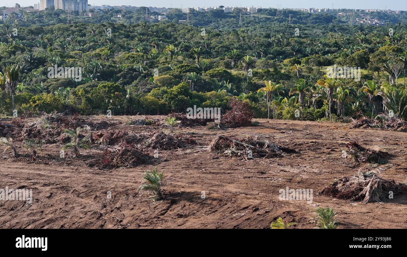 salvador, bahia, brazil - august 22, 2024: Environmental reserve ...