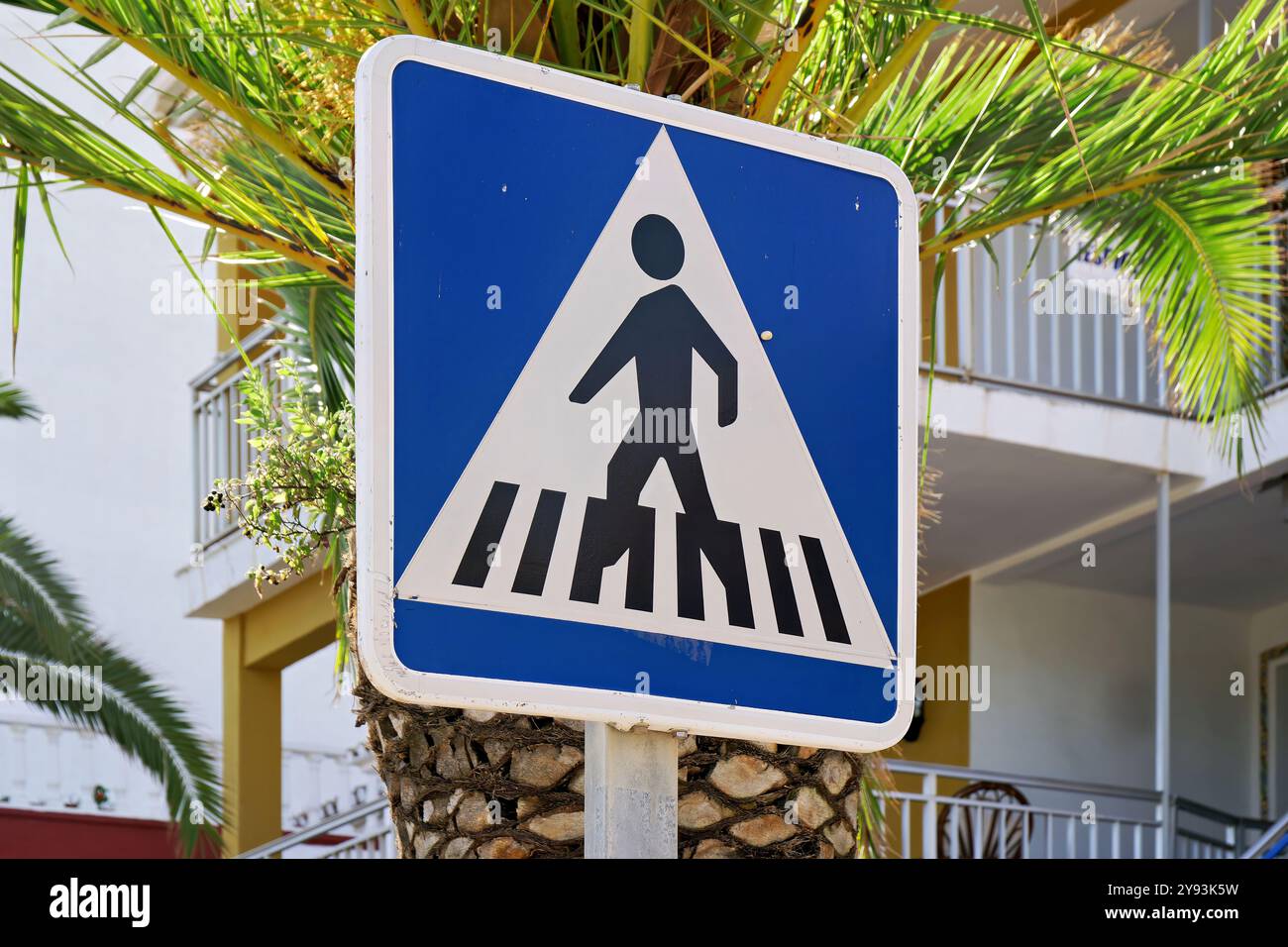 Pedestrian crossing sign in Spain under a palm tree Stock Photo - Alamy