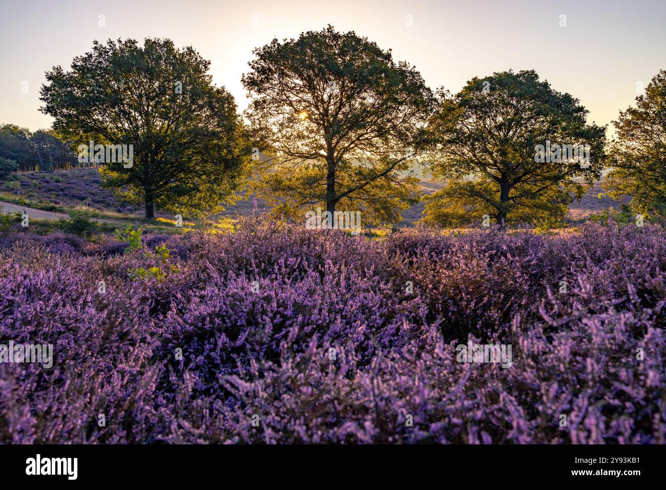 Bezienswaardigheden arnhem hi-res stock photography and images - Alamy