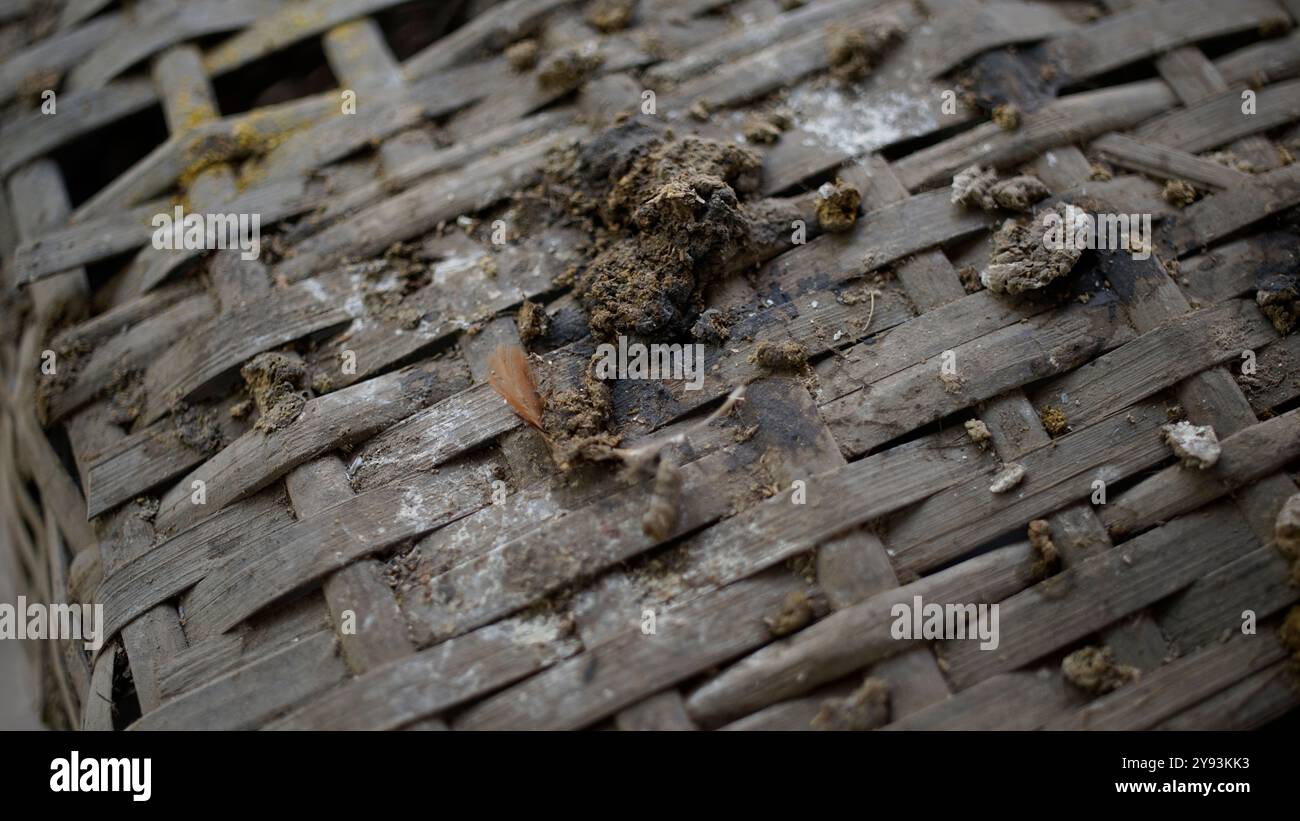 chicken droppings on top of the cage Stock Photo - Alamy