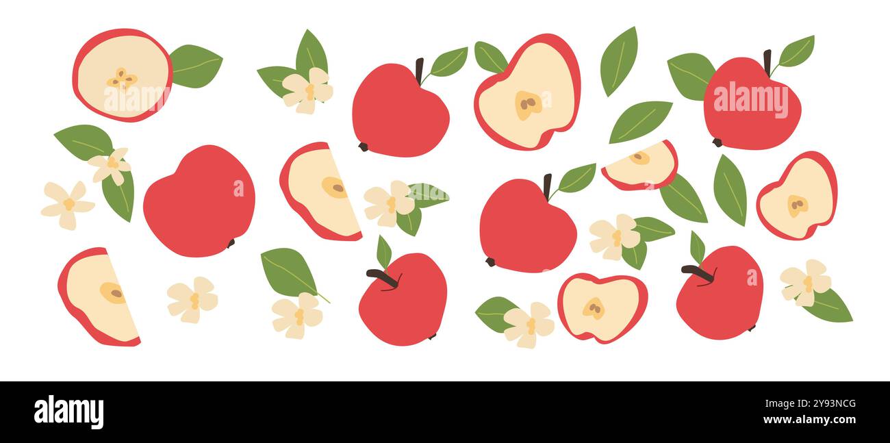 Hand drawn abstract apple fruit plant set. Whole fruit, slices, pieces ...