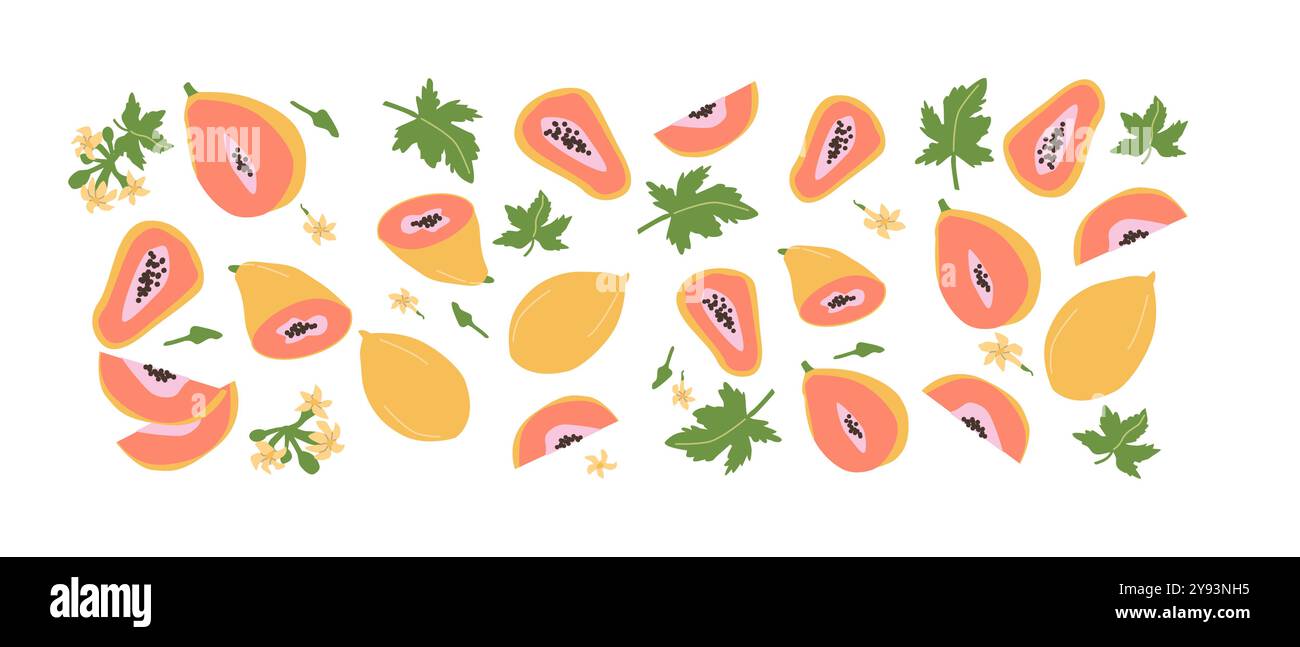 Hand drawn abstract fruit papaya plant set. Whole fruit, slices, pieces ...
