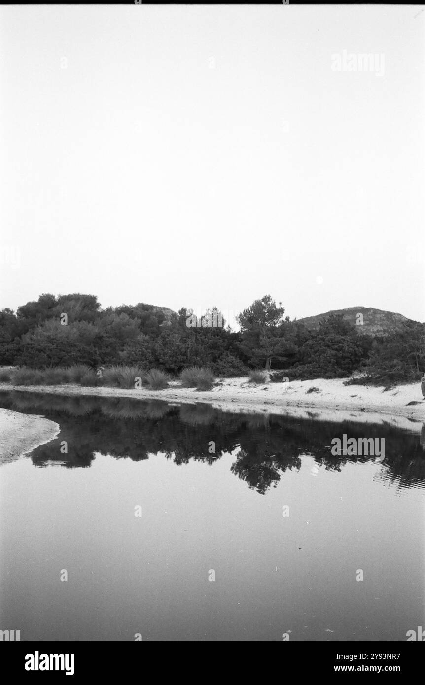 Green forest beautiful lake Black and White Stock Photos & Images - Alamy