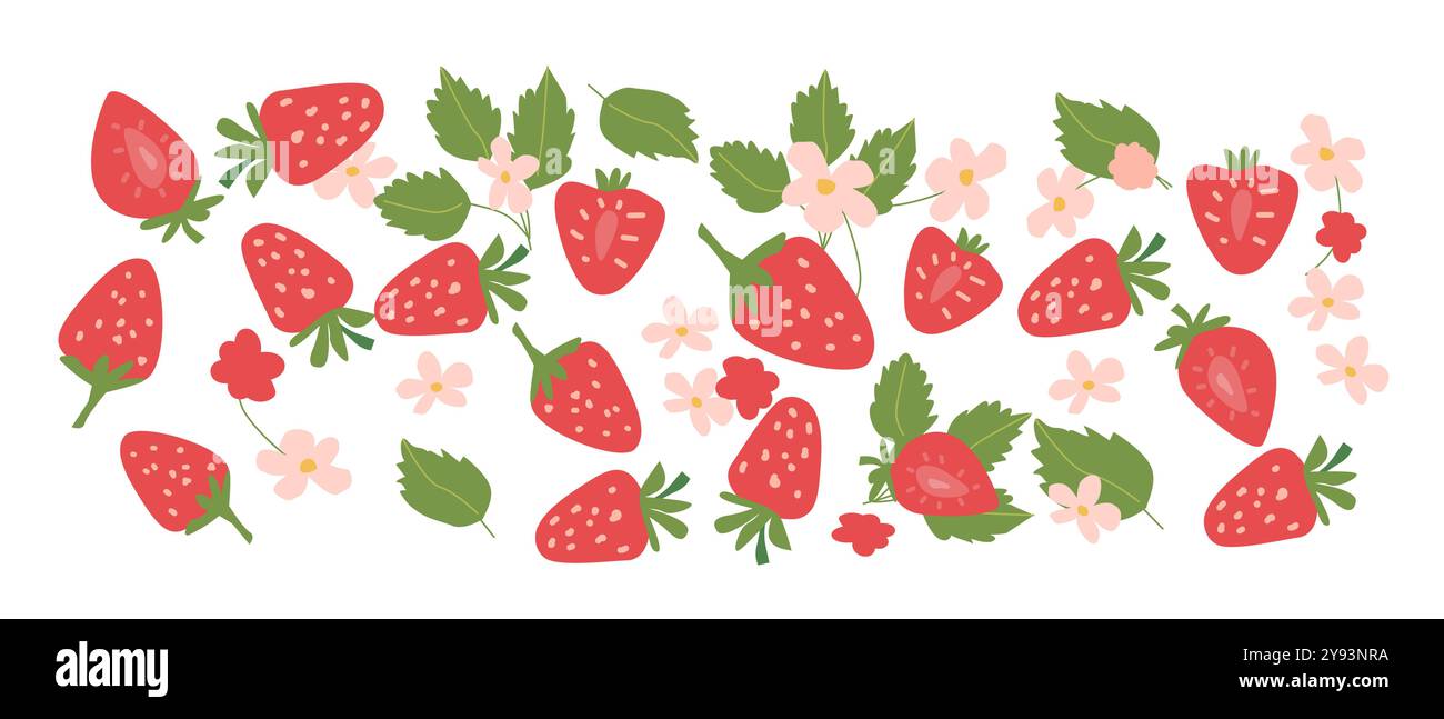 Hand drawn abstract strawberry plant set. Whole fruit, slices, pieces ...