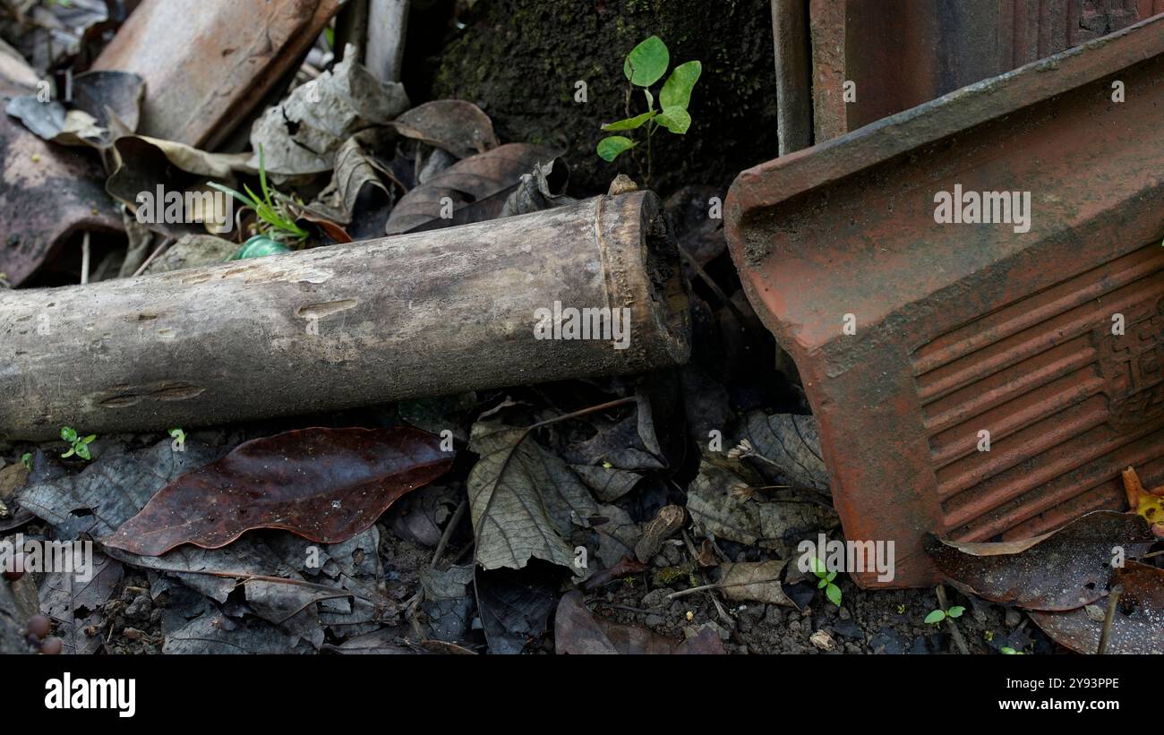 tile, bamboo and dried leaves Stock Photo - Alamy
