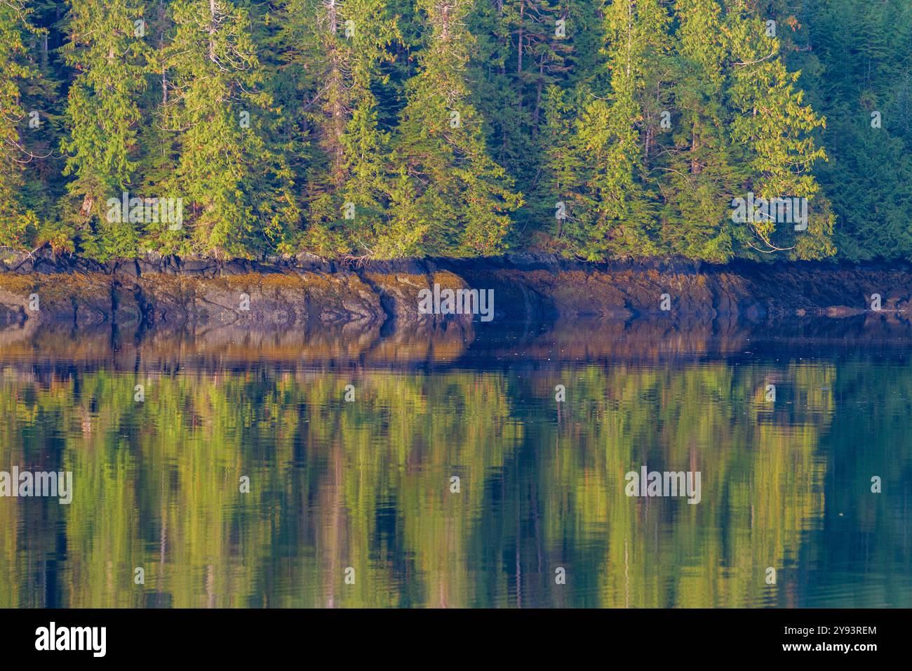 Reflections in the calm waters of Jackson Pass Provincial Marine Park ...