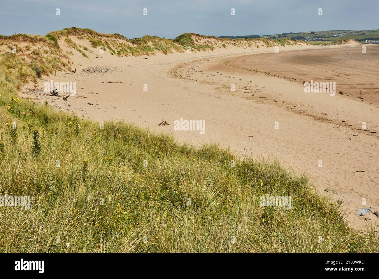 Sand dunes along the western shore of the estuary of the Taw and ...
