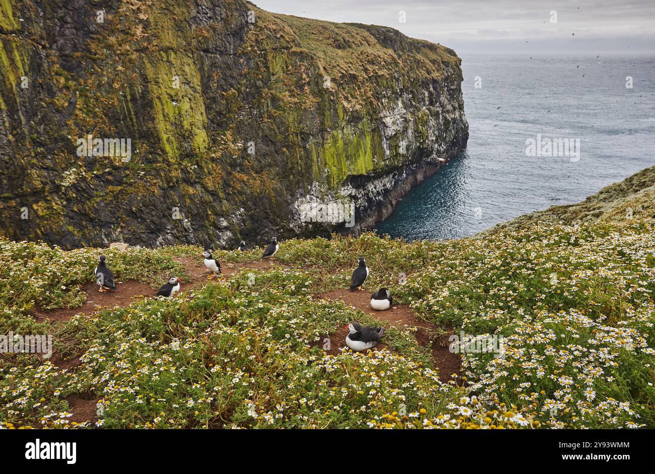 Wick wonders hi-res stock photography and images - Alamy