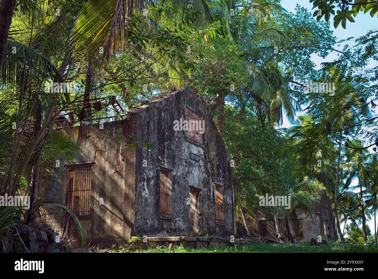 Ruined cells of penal colony on Ile Saint-Joseph, Iles du Salut (Islands of Salvation), French ...