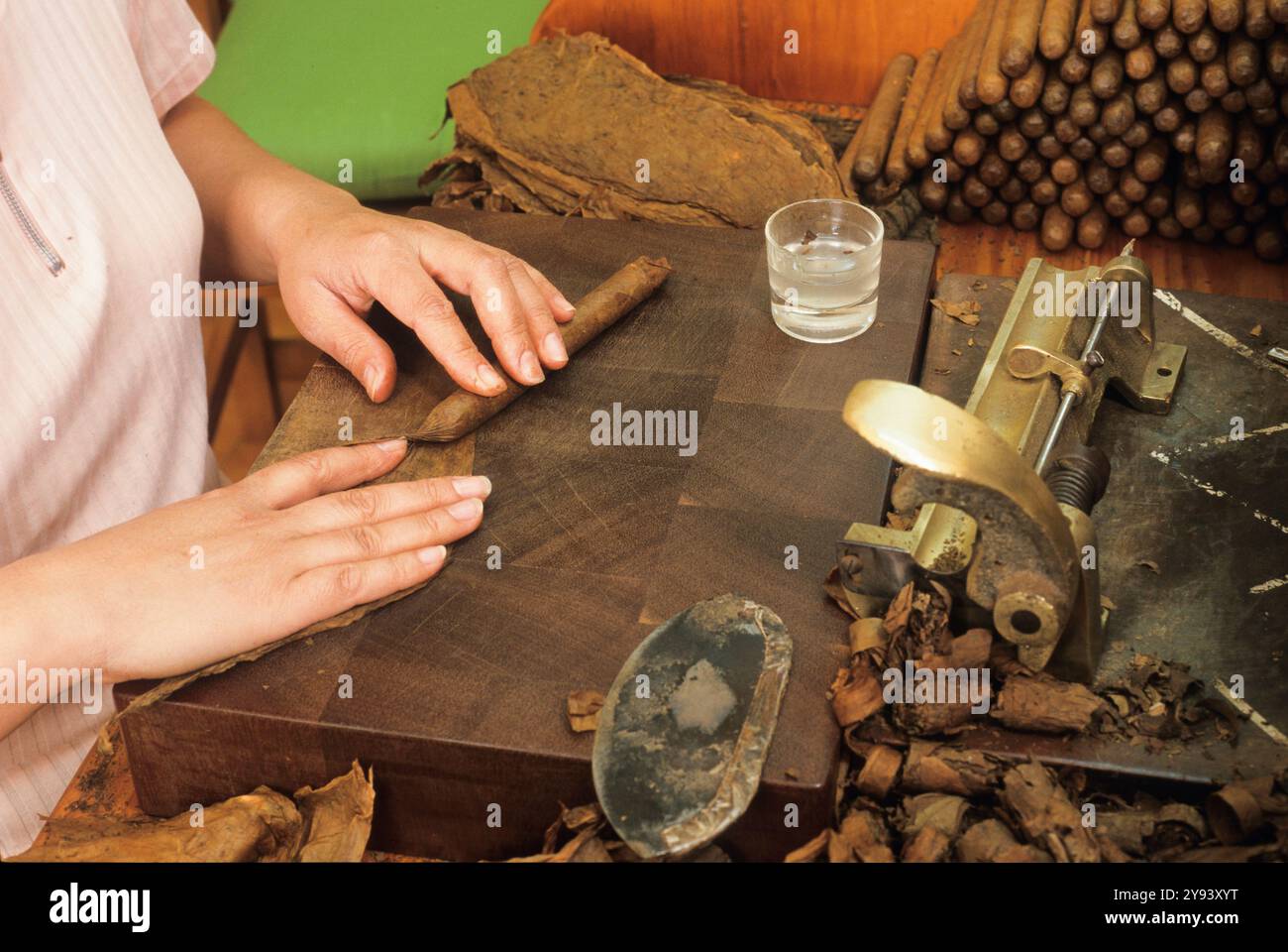Manufacturing of cigars, La Palma, Canary Islands, Spain, Atlantic ...