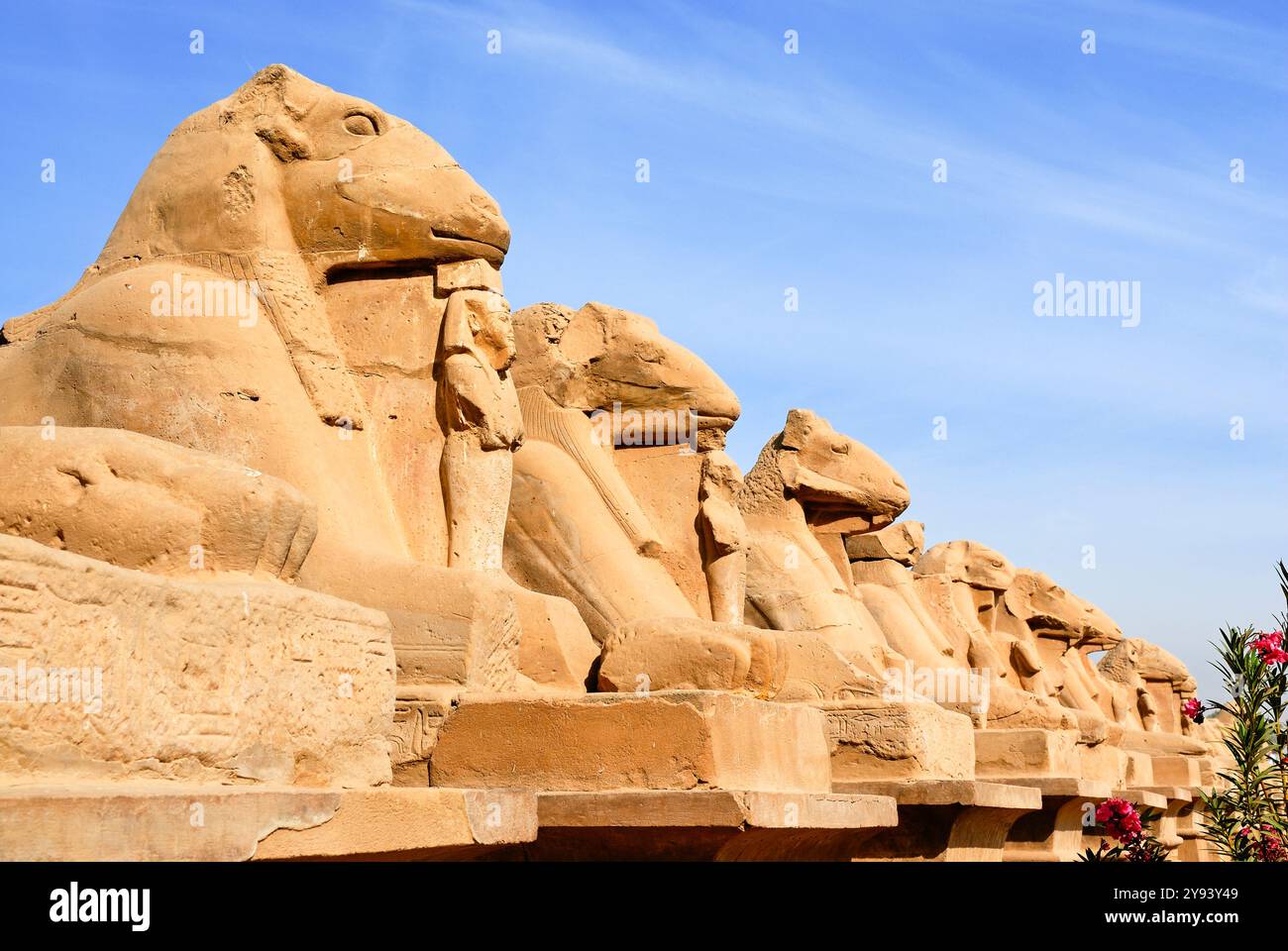 Ram headed sphinx along the path connecting the Karnak Temple Complex ...