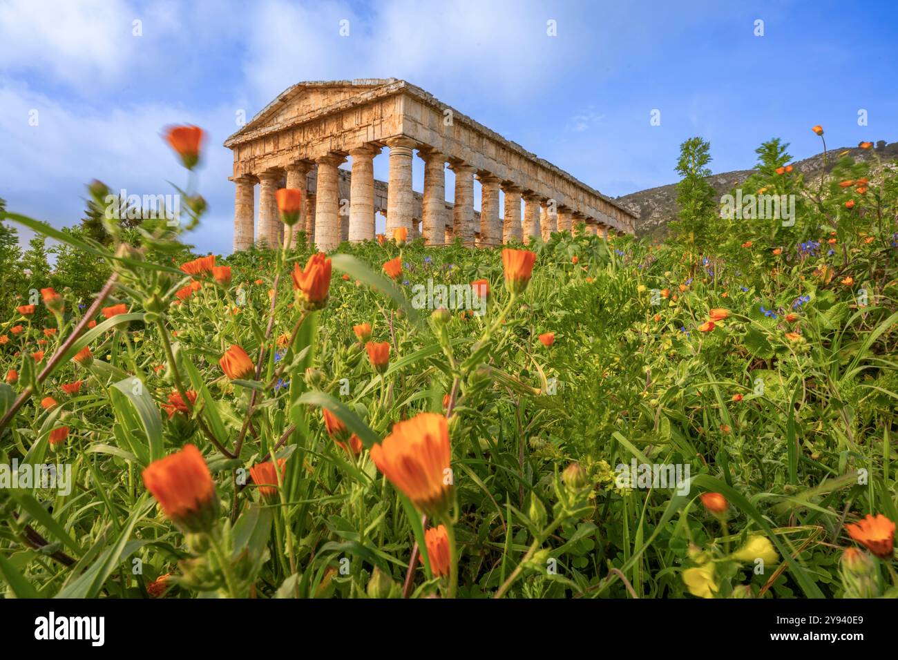 Doric temple, Segesta, Calatafimi, Trapani, Sicily, Italy ...