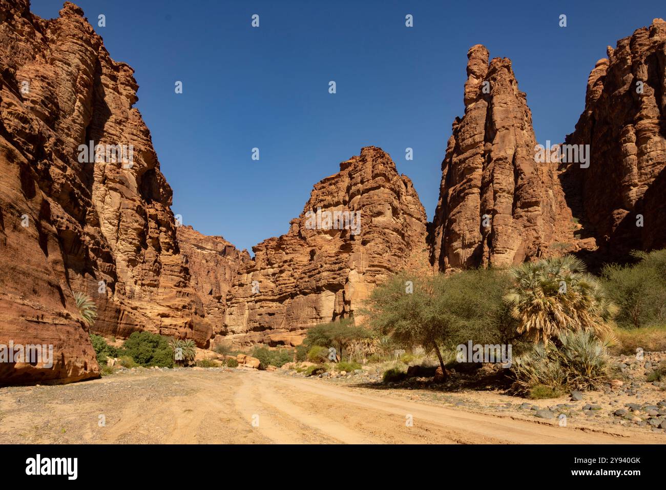 Wadi Disah (Wadi Qaraqir), sandstone canyon near Tabuk, North West ...