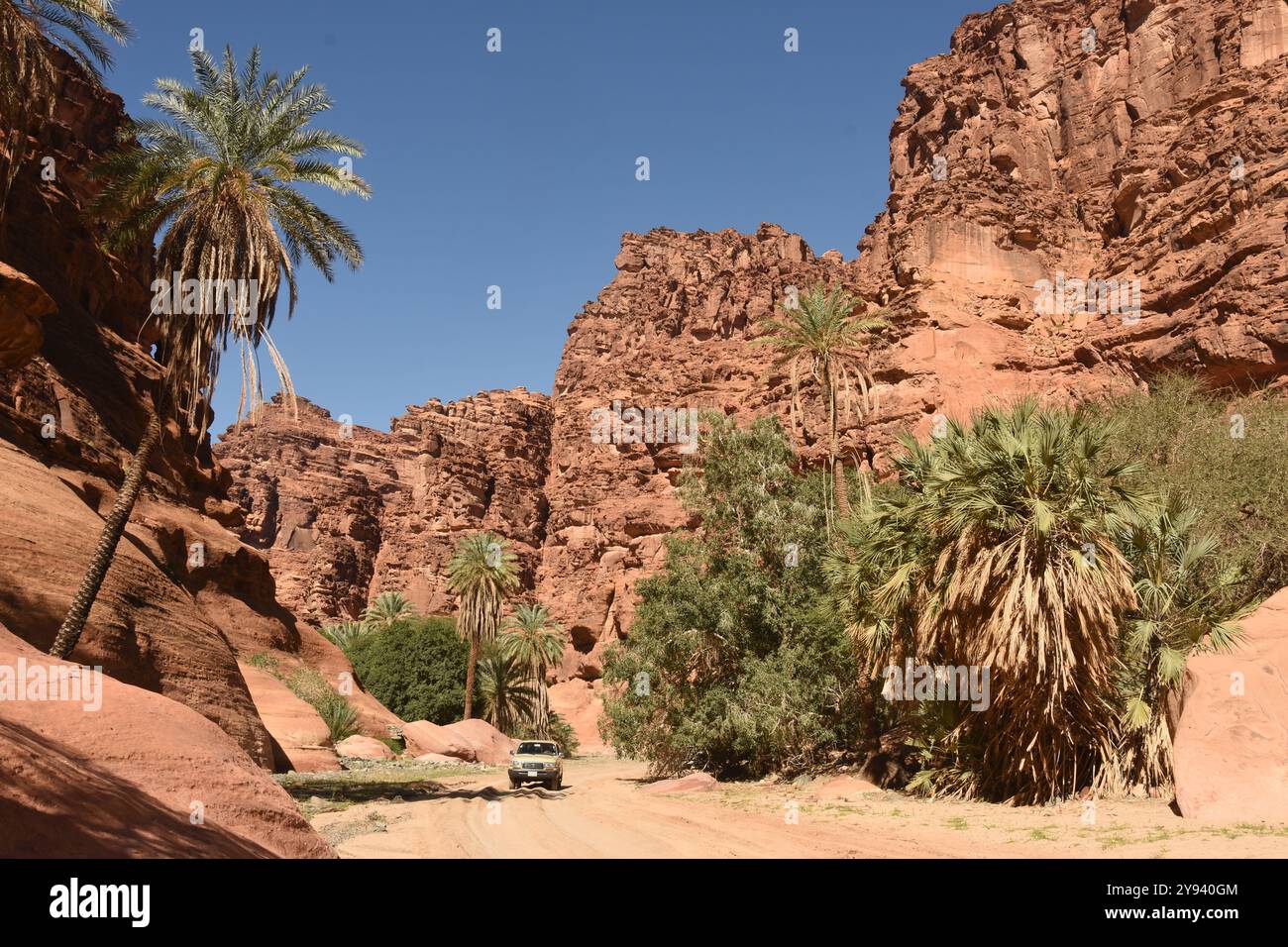 Wadi Disah (Wadi Qaraqir), sandstone canyon near Tabuk, North West ...
