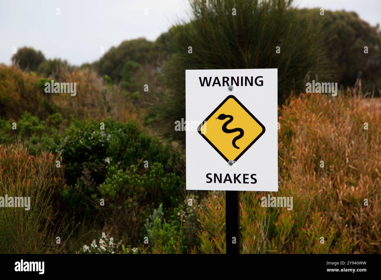 Warning snakes sign hi-res stock photography and images - Alamy