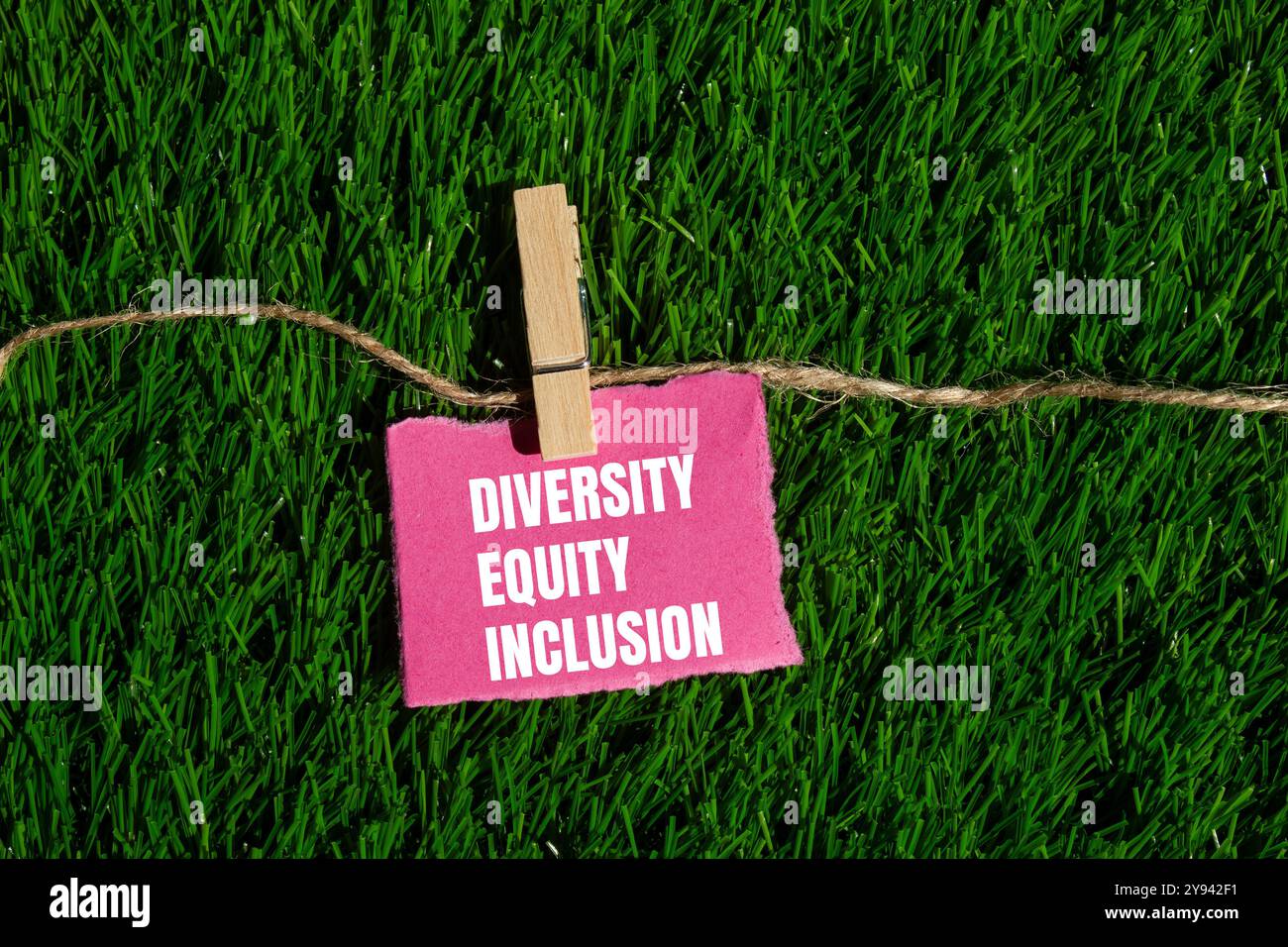 Diversity equity and inclusion message written on ripped torn pink paper piece with green grass ...