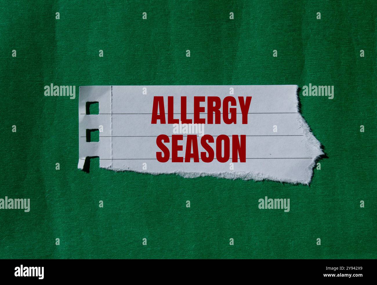 Allergy season message written on ripped torn paper with green ...