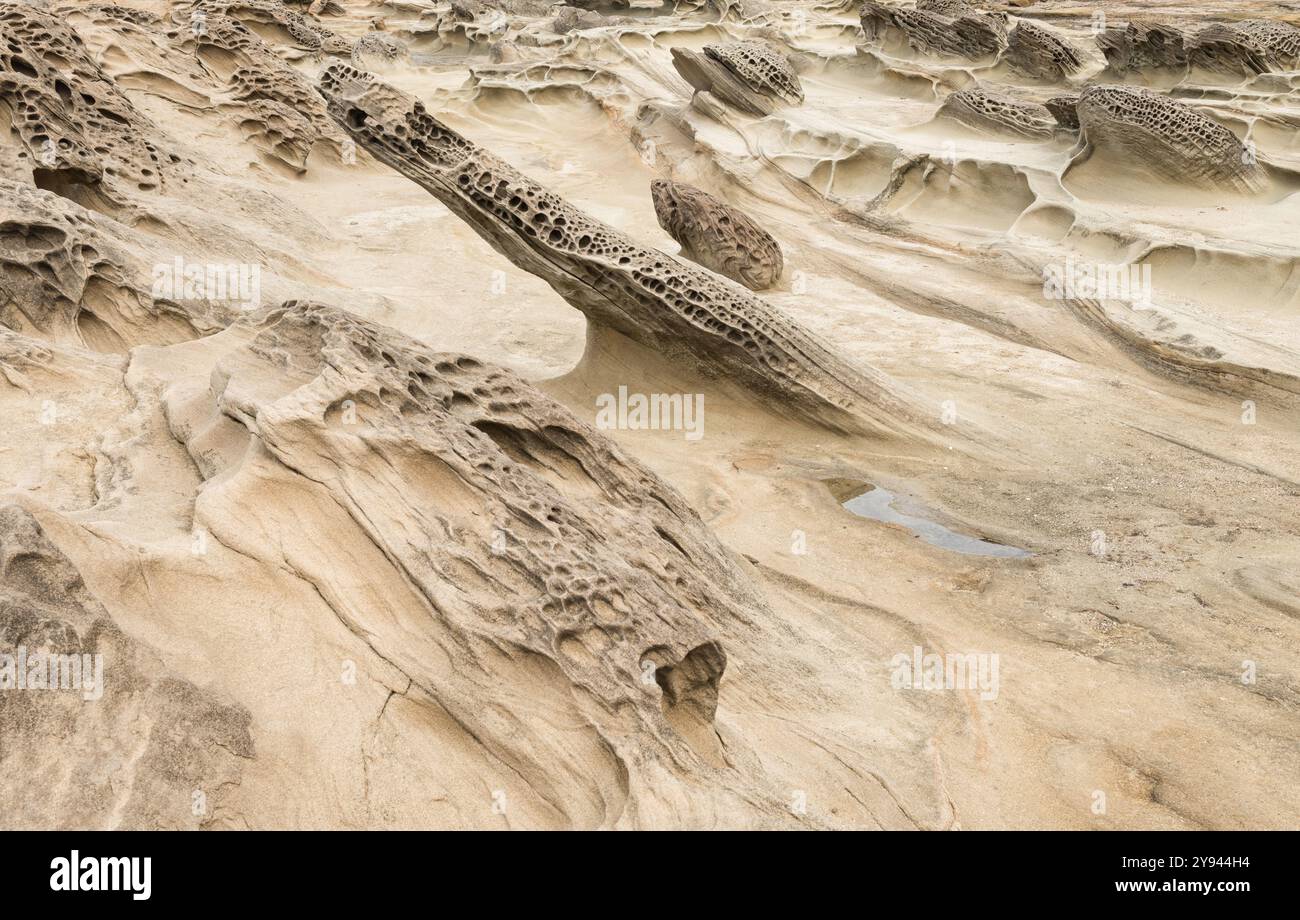 This image captures the detailed patterns and textures on a sandstone ...
