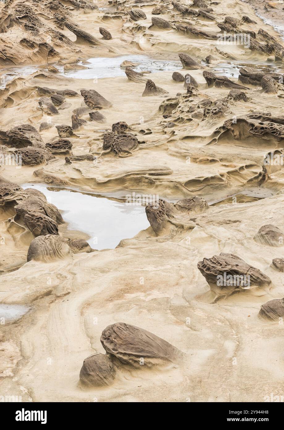 A detailed view of natural sandstone formations showcasing intricate ...