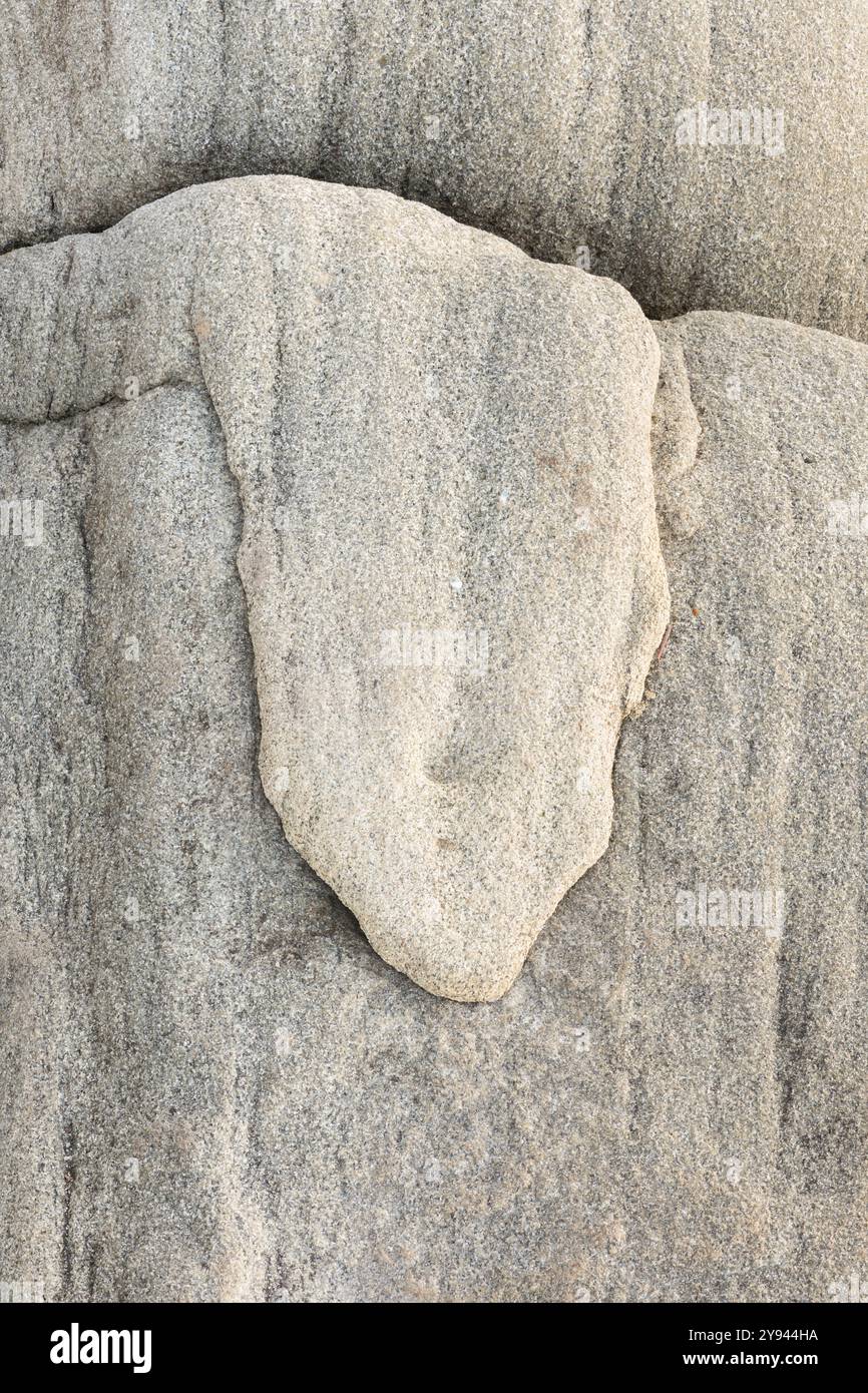 Detailed shot highlighting the natural textures and patterns of a ...