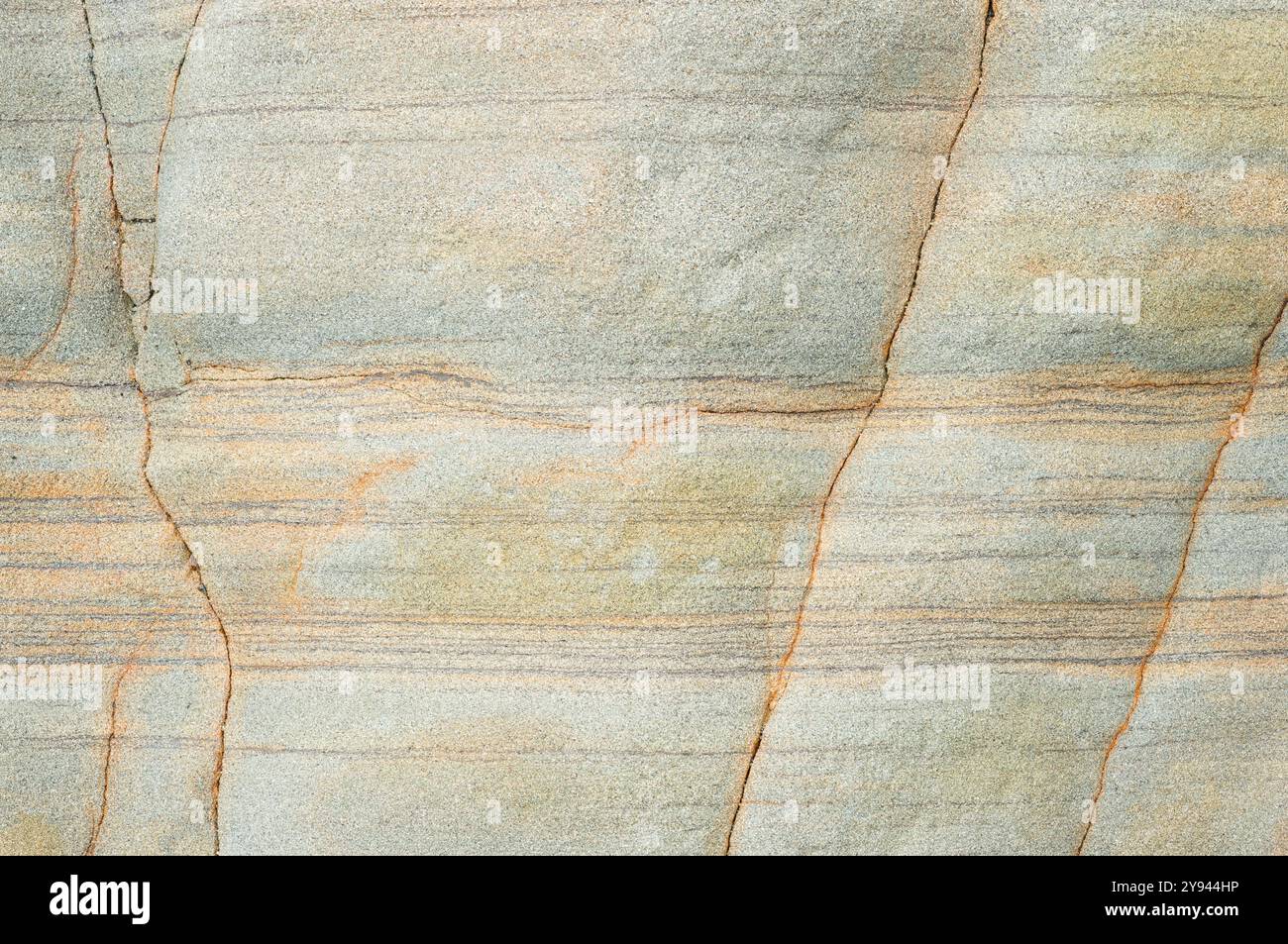 A close-up of a sandstone's surface, displaying diverse textures and ...
