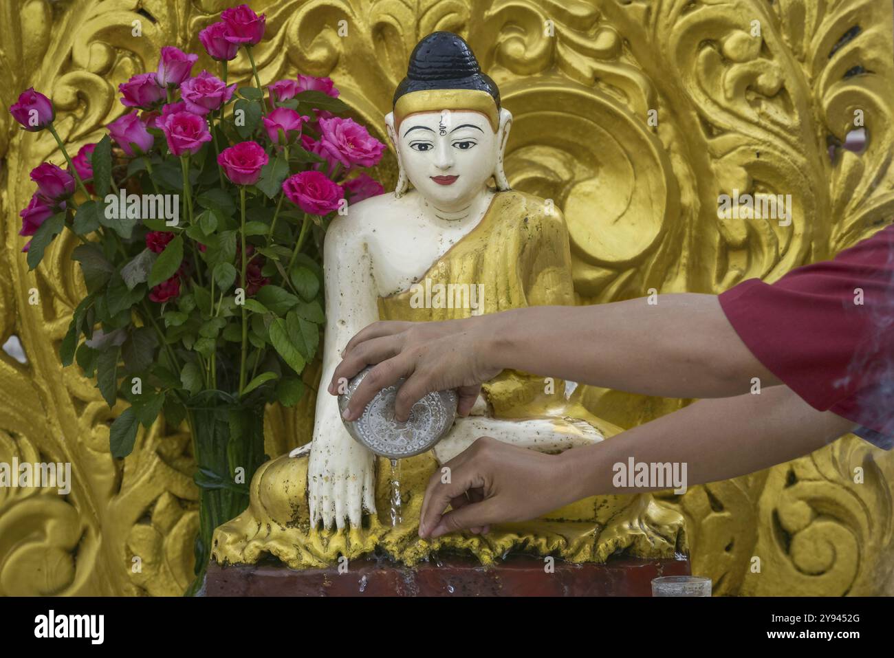 Cropped unrecognizable hand pouring water over a Buddha statue during a ...