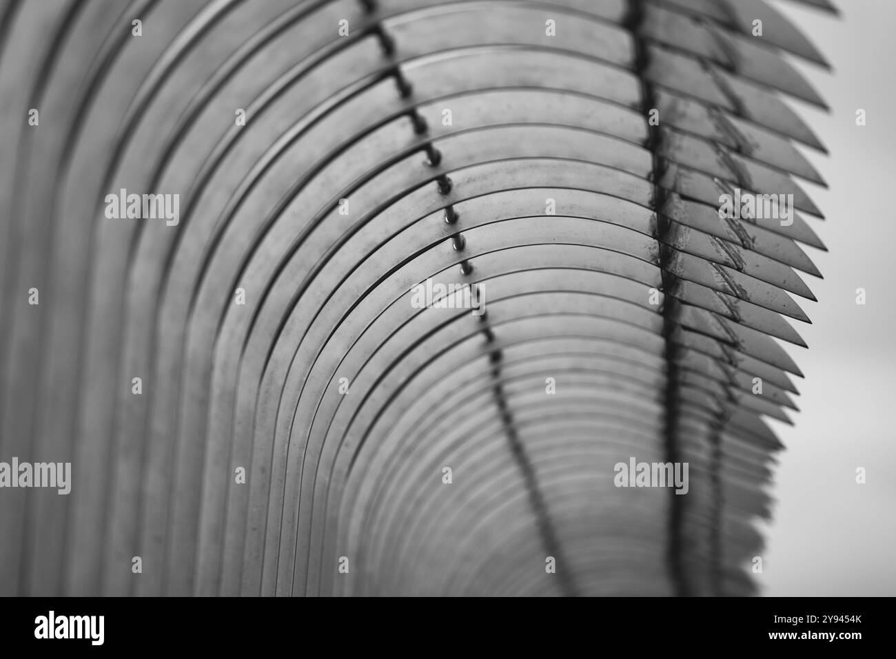 A monochrome photograph captures the close-up view of metallic, curved ...