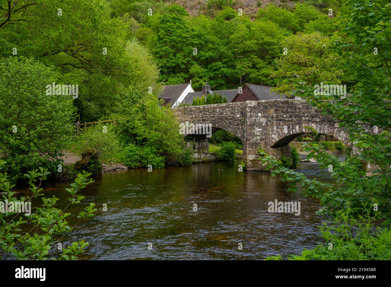 Fingle bridge spring hi-res stock photography and images - Alamy