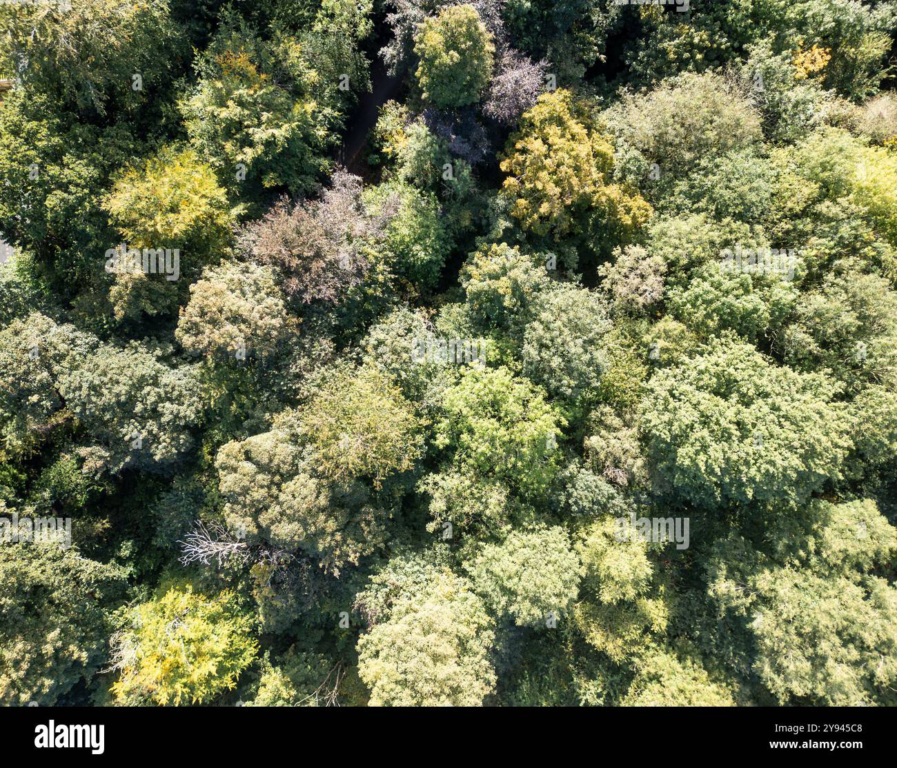 Aerial top view real time hi-res stock photography and images - Alamy