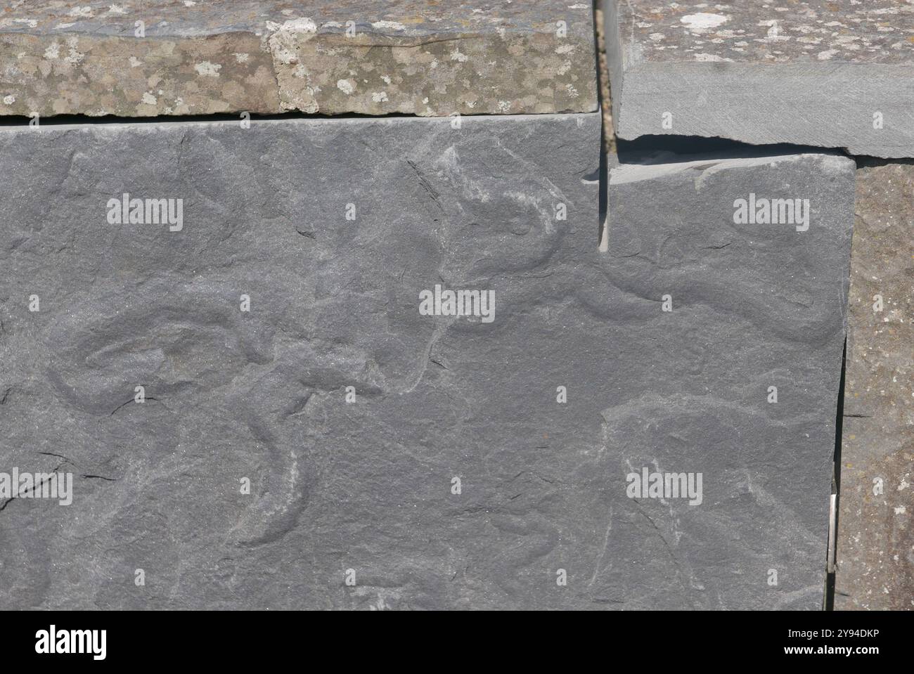 Stone slabs on the Cliffs of Moher, Ireland, trace fossils ichnofossils ...