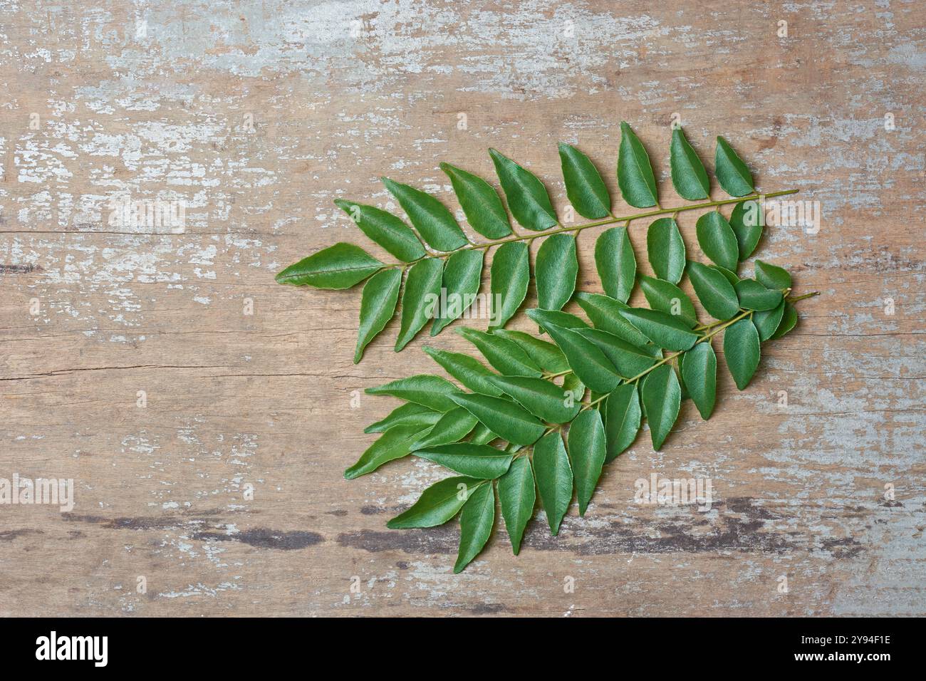curry leaves foliage on wooden table top surface, healthy nutrients ...