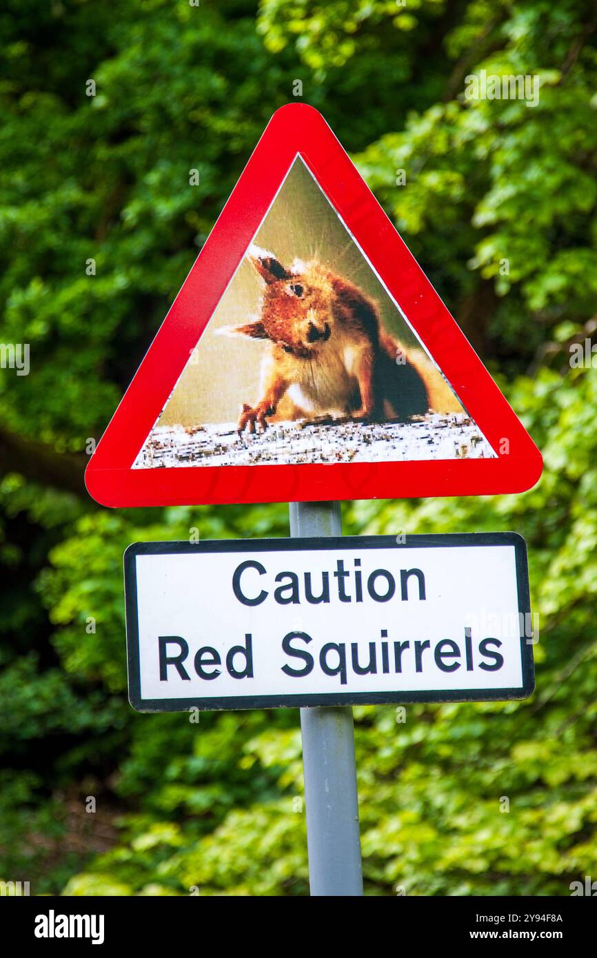 Road sign advising drivers to be aware of the local red squirrel ...