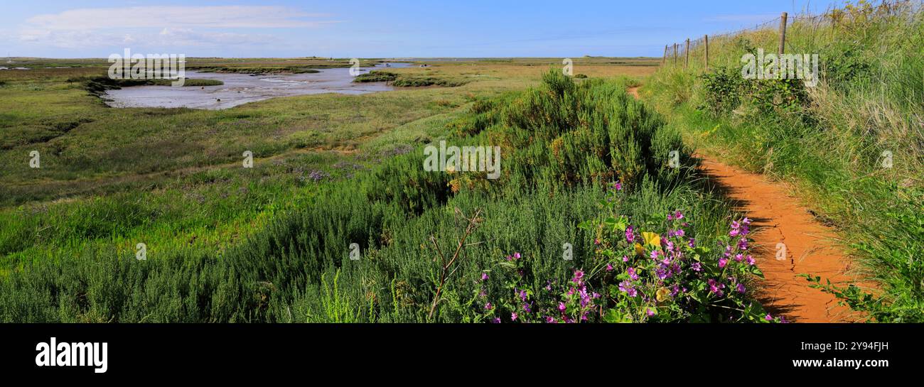 View over the Mow Creek and salt marshes, Brancaster Staithe village ...